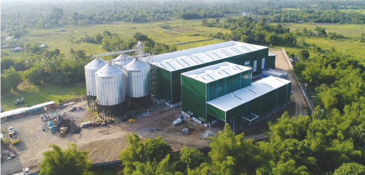 ‘Rice revolution’ now a reality in Leyte - Leyte Samar Daily News