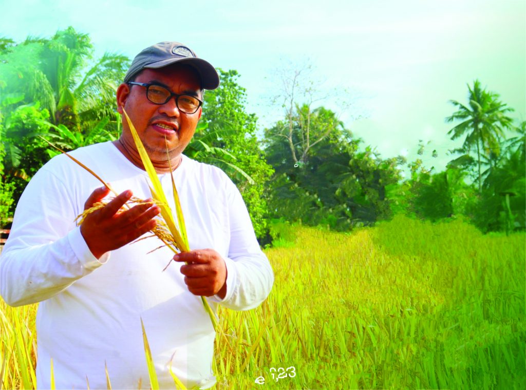 Leyte farm school encourages young to go into farming - Leyte Samar ...