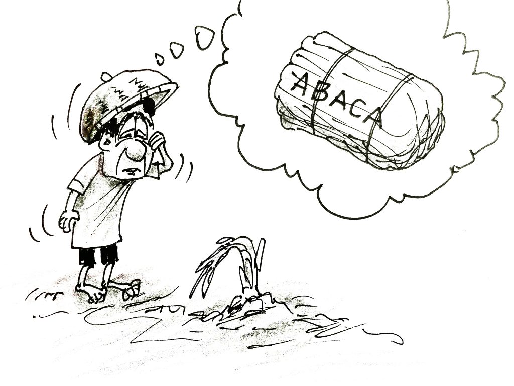 What happened to our abaca? - Leyte Samar Daily News