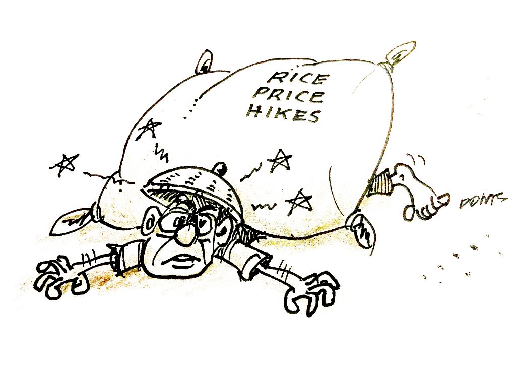 Surging rice prices - Leyte Samar Daily News