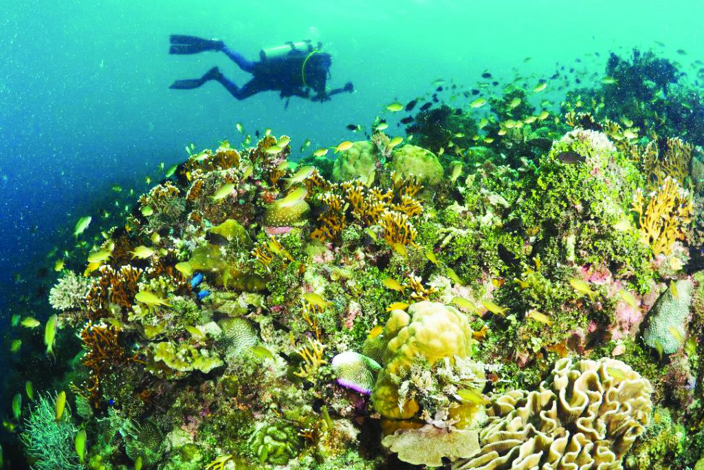 House approves bill declaring Panaon Island as a protected area - Leyte ...