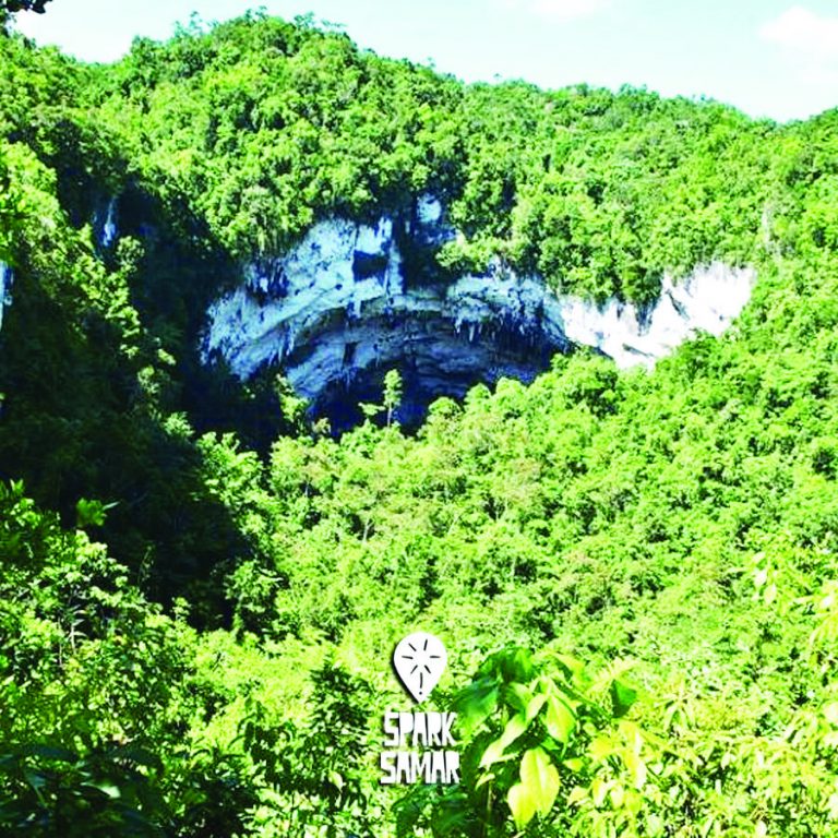 Samar Island Natural Park eyes as a UNESCO site - Leyte Samar Daily News