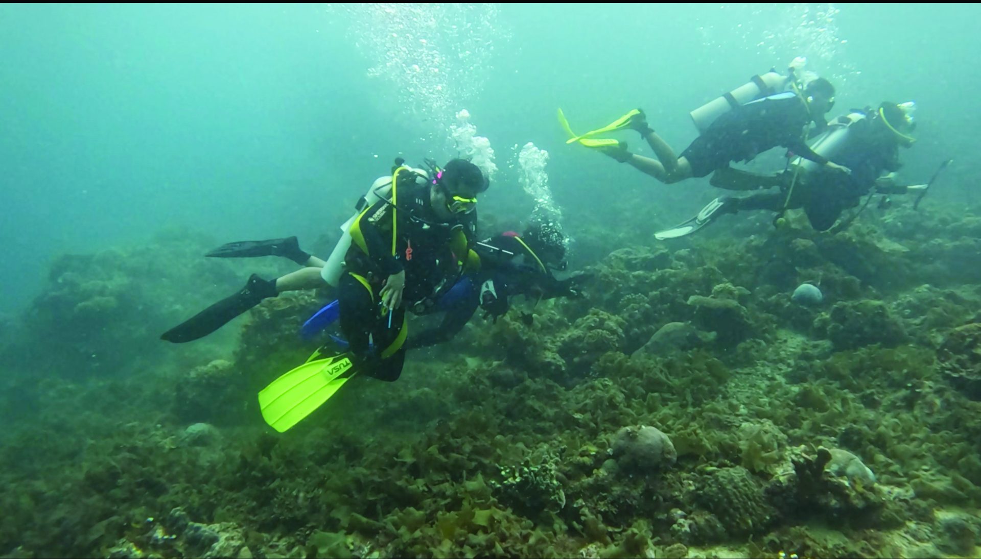 Northern Samar aims as the diving capital of Eastern Visayas - Leyte ...