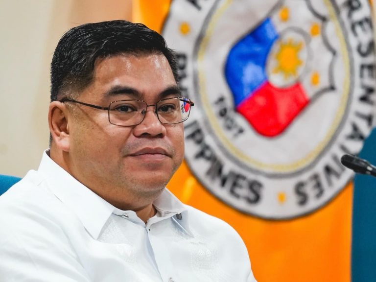 Tingog party-list’s Acidre appointed as EDCOM 2 commissioner - Leyte ...