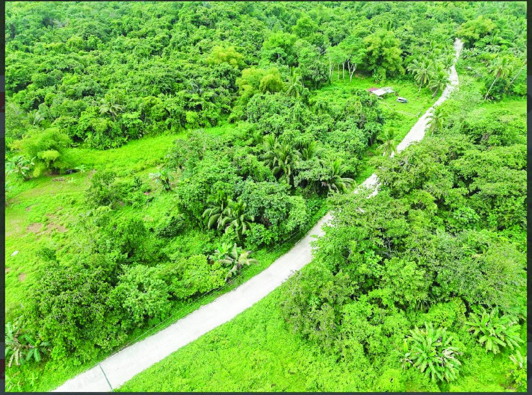 New concrete road connects remote villages in Jaro, Leyte - Leyte Samar ...