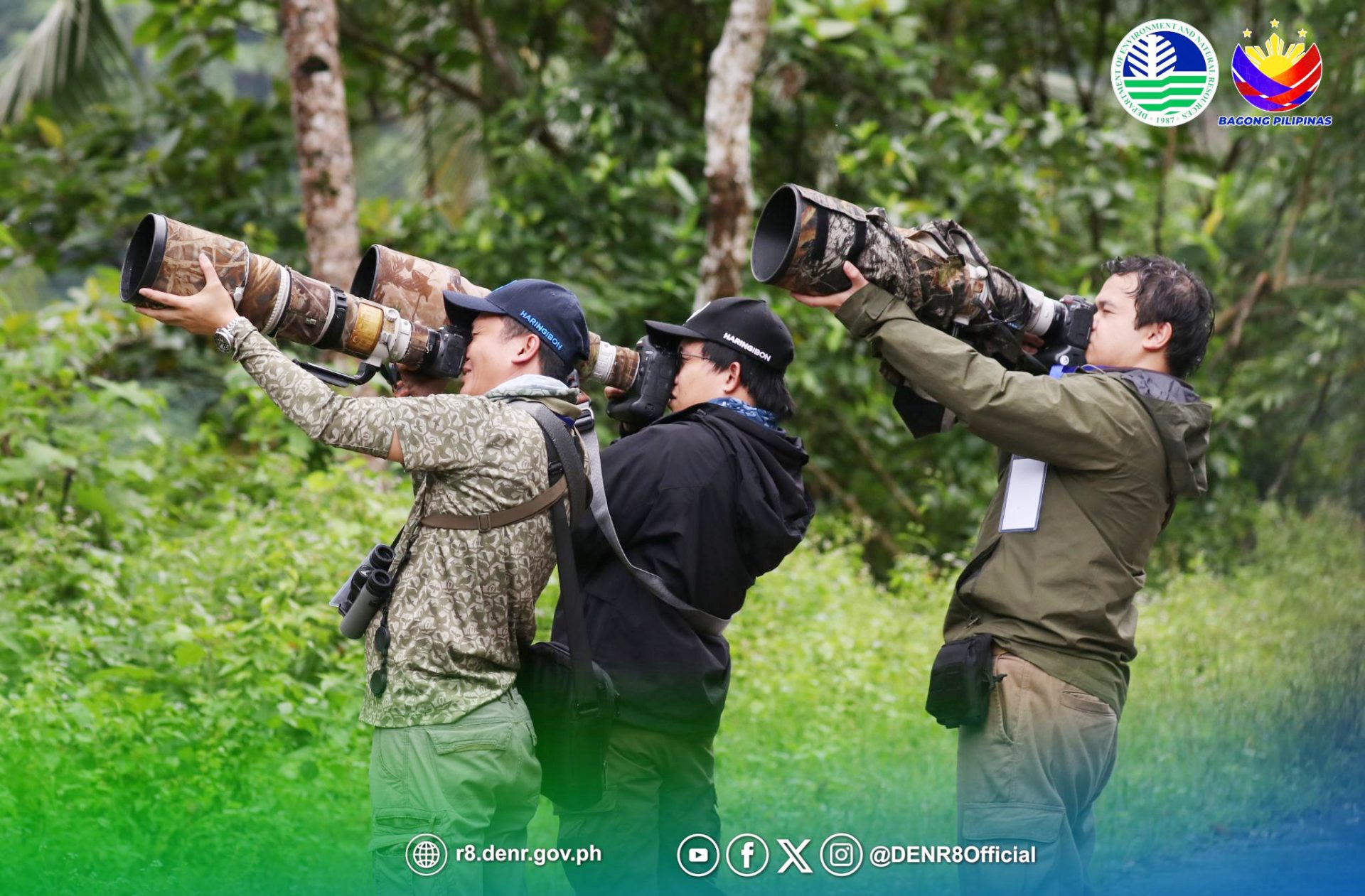 Mahagnao Volcano Natural Park hosts first bird photography race for ...