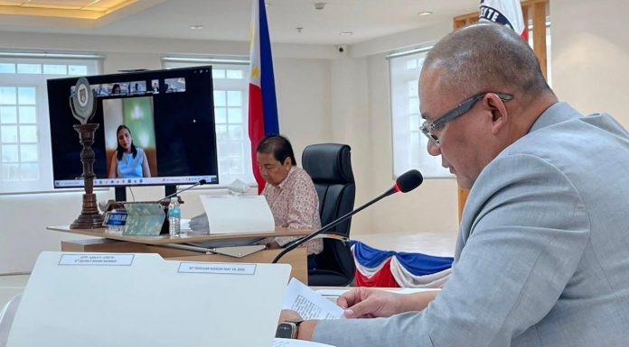 Leyte board clears P1.45-B supplemental investment plan for provincial ...